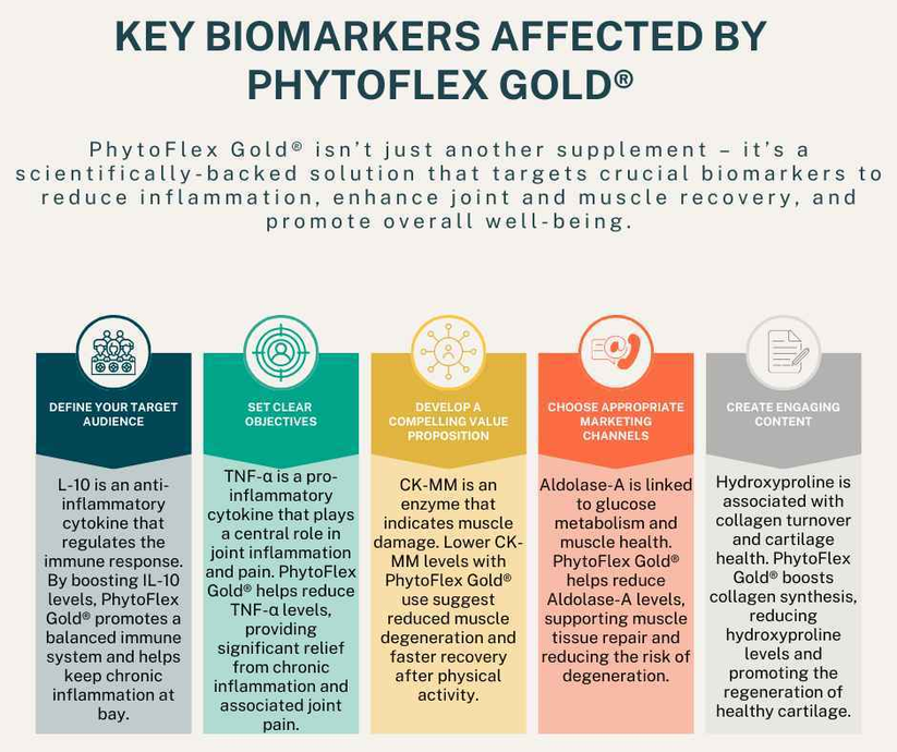 PhytoFlex Gold® - 10 Days Course - Relieve Joint Pain – Liquid Health